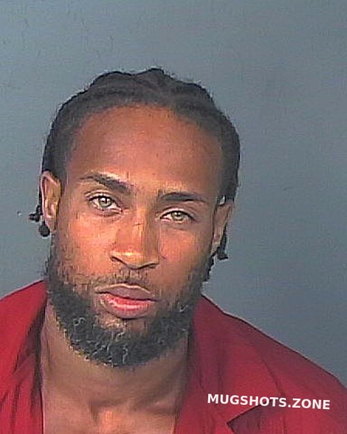 BROOKS JONAS ANTHONY 08/16/2024 - Hernando County Mugshots Zone