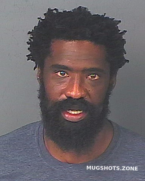 HENLEY DEMETRIUS RAMON 08/16/2024 - Hernando County Mugshots Zone