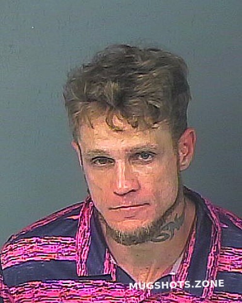WHITMAN LARRY BRUCE 08/20/2024 - Hernando County Mugshots Zone