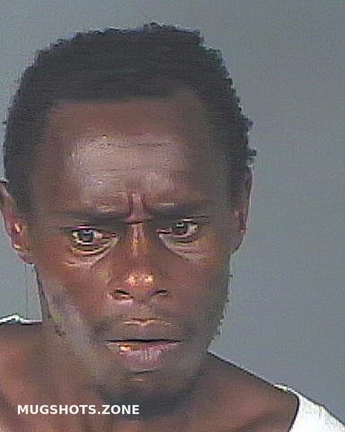 GAYNOR JOSHUA NICHOLAS 08/20/2024 - Hernando County Mugshots Zone