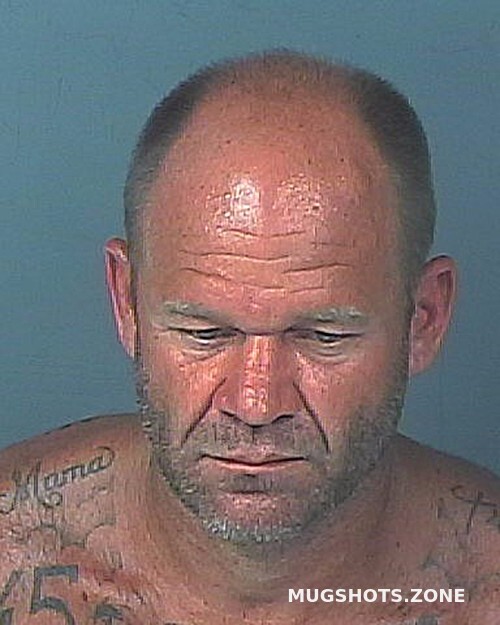 REECE AARON MATTHEW 08/20/2024 - Hernando County Mugshots Zone