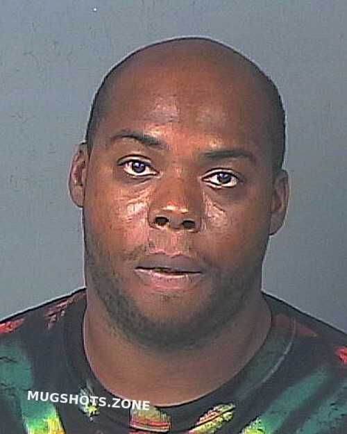 RAYFORD LIONEL JAMES 08/21/2024 - Hernando County Mugshots Zone