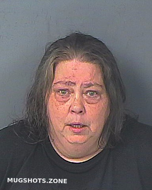 LENNOX CHRISTINE ANN 08/27/2024 - Hernando County Mugshots Zone LENNOX CHRISTINE ANN 08/27/2024 - Hernando County Mugshots Zone