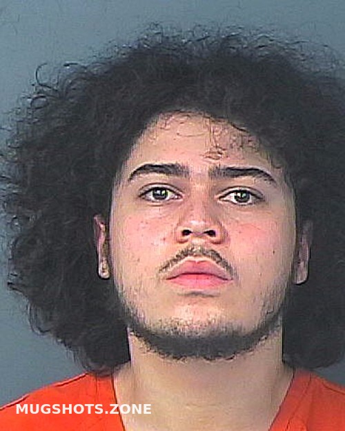 MURIEL JONATHAN ISAIAH 08/28/2024 - Hernando County Mugshots Zone