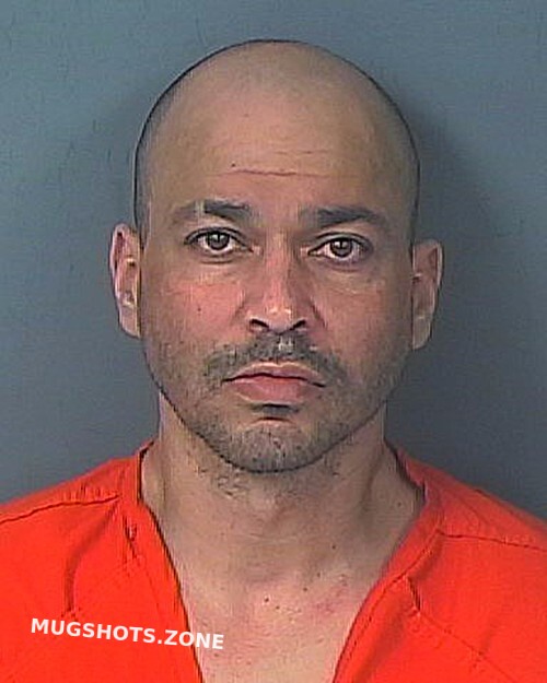 COSTA EDWIN 08/30/2024 - Hernando County Mugshots Zone