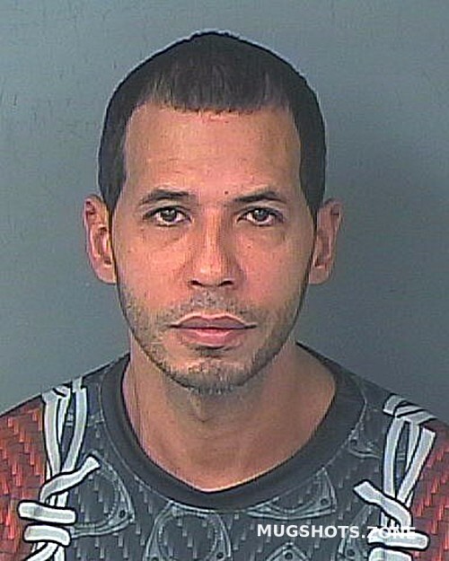 VEGA CABRERA DANIEL 09/25/2024 - Hernando County Mugshots Zone