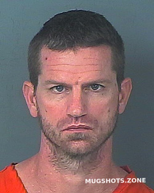 WILLIAMS SEAN COLIN 11/07/2024 - Hernando County Mugshots Zone