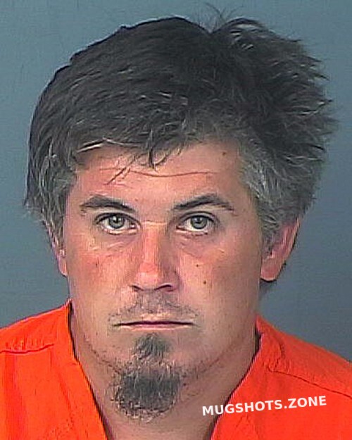 REED ROBERT OLIVER 11/07/2024 - Hernando County Mugshots Zone