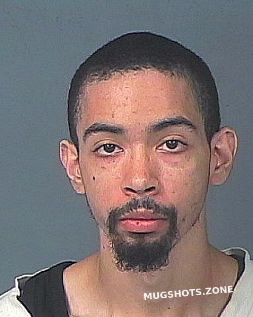 LANCASTER TY ANTHONY 11/14/2024 - Hernando County Mugshots Zone