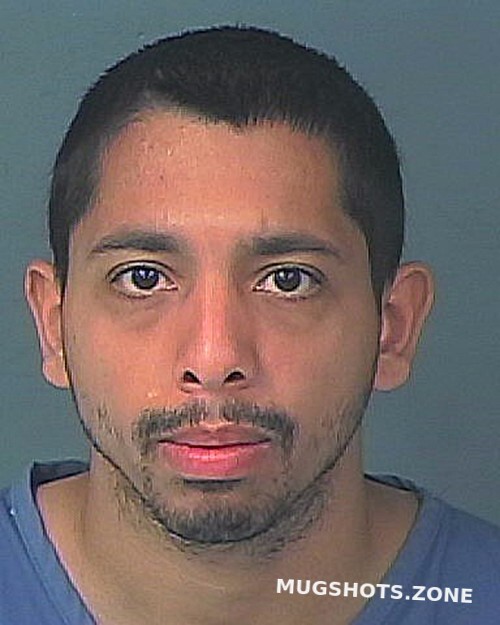 ANTONETTI DAVID 12/05/2024 - Hernando County Mugshots Zone