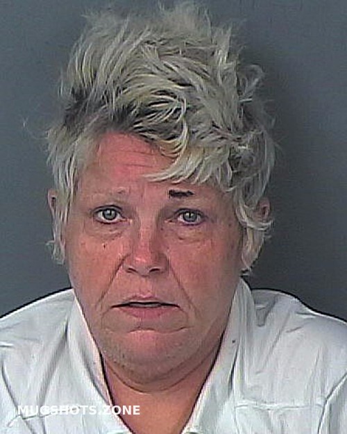 BROWN BARBARA LYNN 12/10/2024 - Hernando County Mugshots Zone