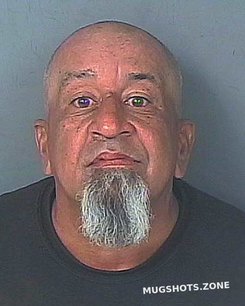 ARCE EFRAIN 12/11/2024 - Hernando County Mugshots Zone