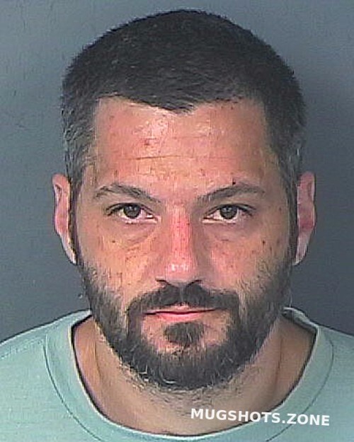 BALSAMO DOMINICK WILLIAM 12/12/2024 - Hernando County Mugshots Zone