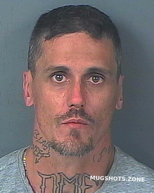 HOULE SEAN PATRICK 12/12/2024 - Hernando County Mugshots Zone