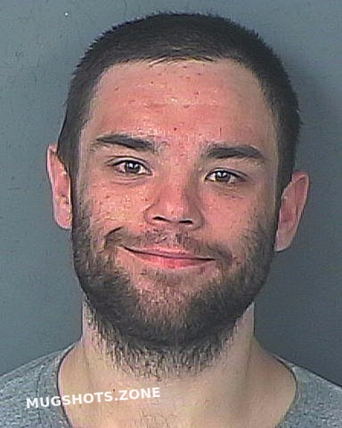 ELLIOTT JESSE LAKOTA WATSON 12/16/2024 - Hernando County Mugshots Zone