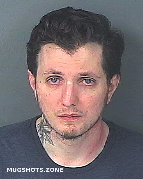 GRIMISON TYLER JAMES 12/16/2024 - Hernando County Mugshots Zone