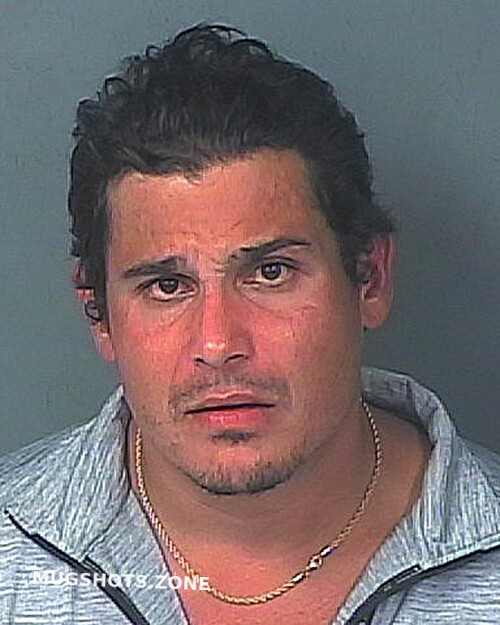 FORMICA GIANCARLO HUGO 12/22/2024 - Hernando County Mugshots Zone