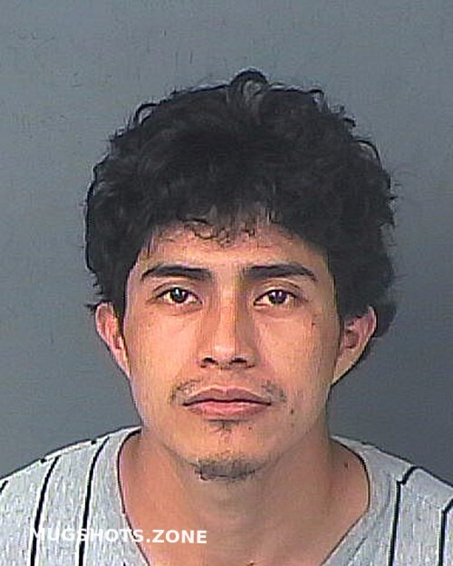 LOPEZ DIAZ HUGO GABRIEL 12/22/2024 - Hernando County Mugshots Zone