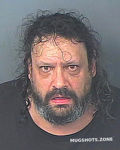 PALMER BRIAN WESLEY 12/23/2024 - Hernando County Mugshots Zone