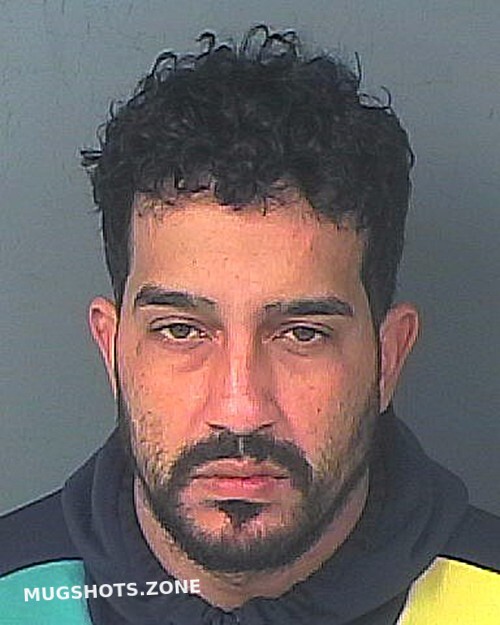 RIOS DE JESUS ALEXIS 12/24/2024 - Hernando County Mugshots Zone