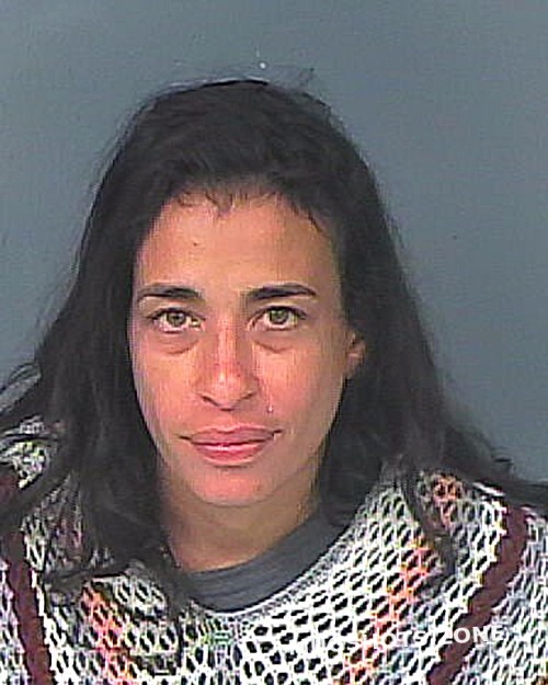 MONGE VICTORIA LOUISE 12/25/2024 - Hernando County Mugshots Zone