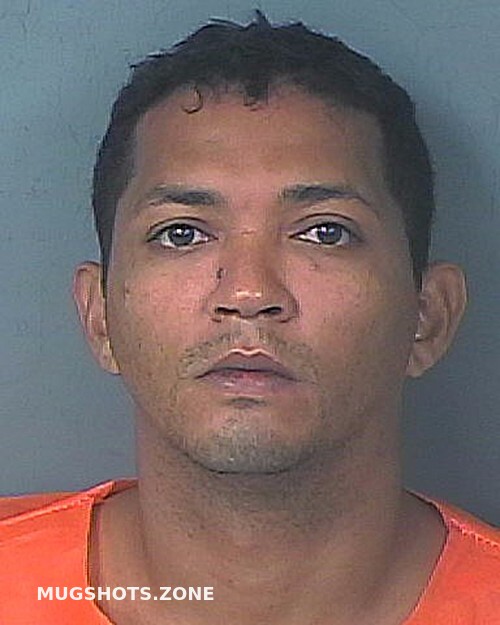 LOPEZ DIAZ FRANCISCO JAVIER 12/27/2024 - Hernando County Mugshots Zone