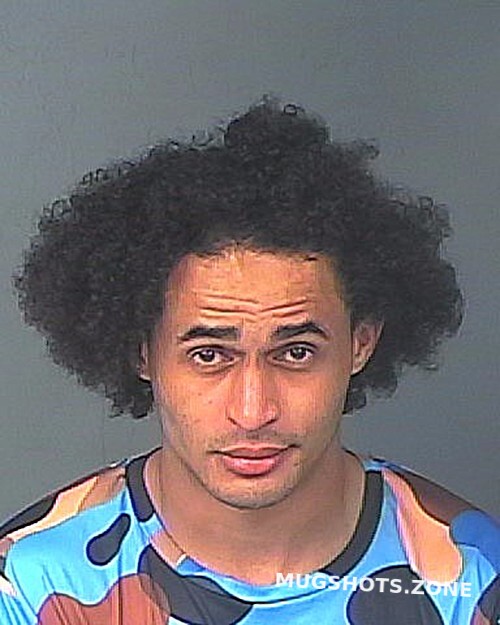 JONES RICKY LANE 12/31/2024 - Hernando County Mugshots Zone