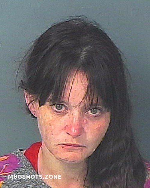 VANOVER JENNIFER LYNN 01/01/2025 - Hernando County Mugshots Zone