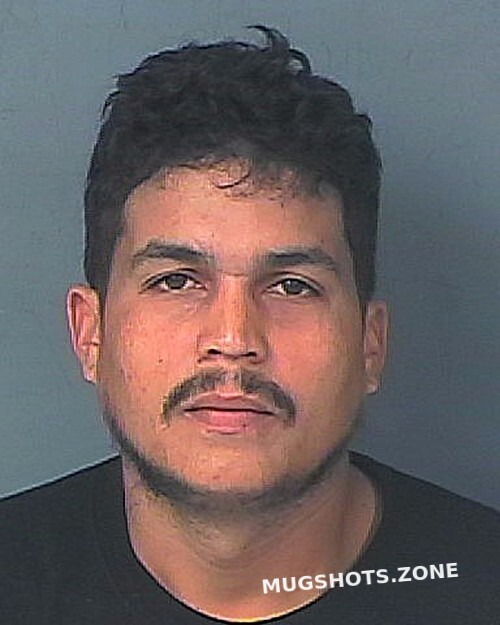 LANTIGUA PAULINO RANDY NARCISO 01/04/2025 - Hernando County Mugshots Zone