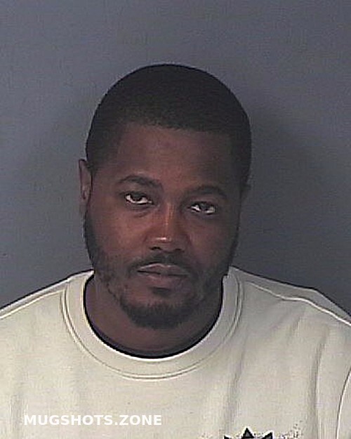 THOMAS JOSHUA HALEY 01/11/2025 - Hernando County Mugshots Zone