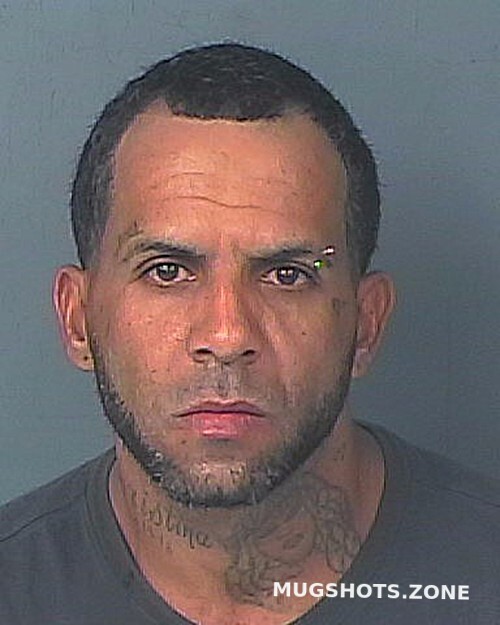 RODRIGUEZ CHRISTIAN 01/11/2025 - Hernando County Mugshots Zone RODRIGUEZ CHRISTIAN 01/11/2025 - Hernando County Mugshots Zone