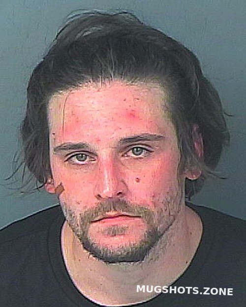 THOMPSON MITCHELL EDWARD 01/13/2025 - Hernando County Mugshots Zone
