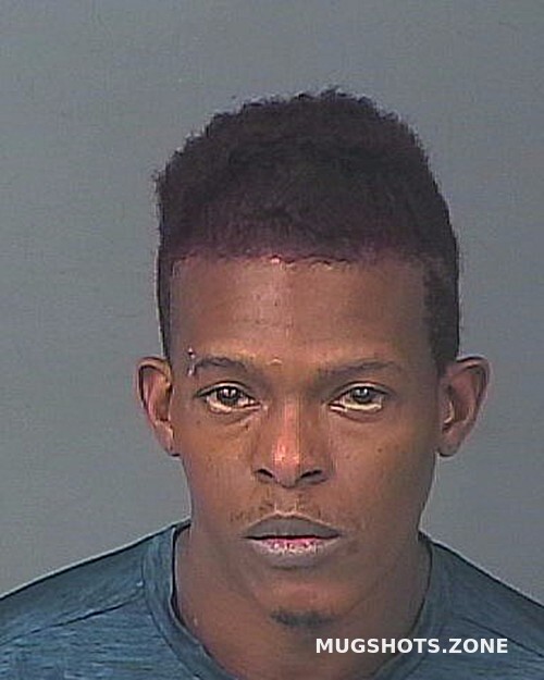 RUMPH YOHOTOSHI HAKU 01/14/2025 - Hernando County Mugshots Zone