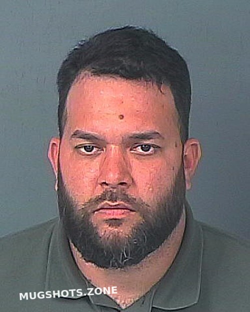 DEL RIO RAIDEL 01/14/2025 - Hernando County Mugshots Zone