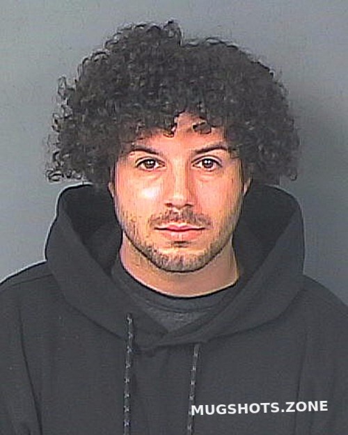 ANDERSON MALYK ALARIC 01/15/2025 - Hernando County Mugshots Zone