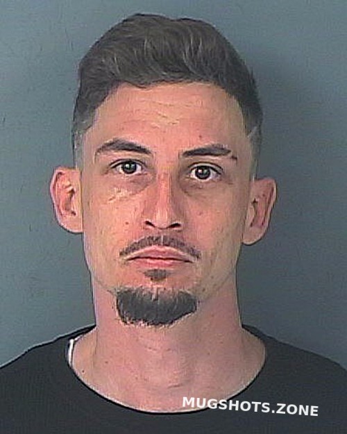 RODRIGUEZ MICHAEL JOHN 01/16/2025 - Hernando County Mugshots Zone