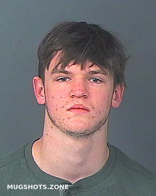 ADAMS BRYSON THOMAS 01/17/2025 - Hernando County Mugshots Zone