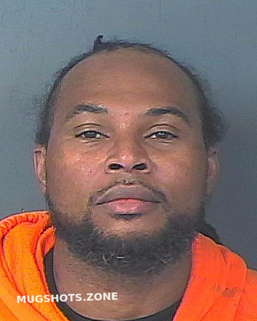 HAYGOOD BRIAN LAMAR 01/22/2025 - Hernando County Mugshots Zone