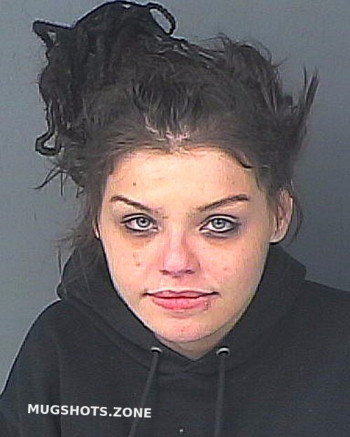 STURGILL KATHLEEN MICHELLE 01/23/2025 - Hernando County Mugshots Zone