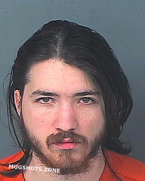 NELSON COLLYN KOEL 01/24/2025 - Hernando County Mugshots Zone