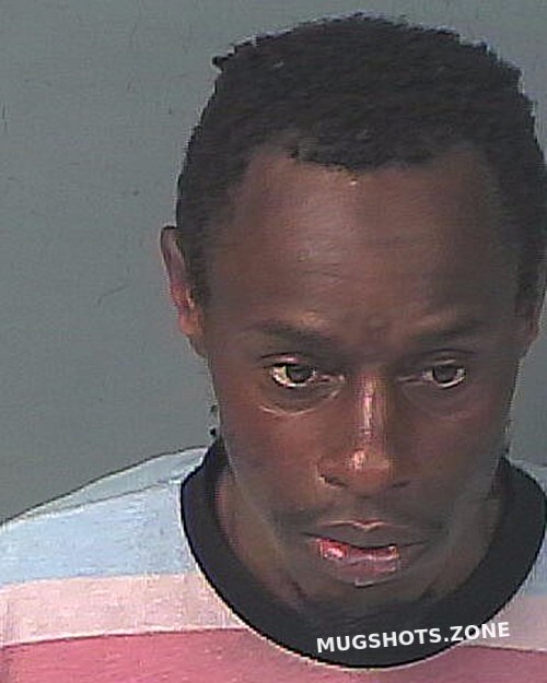 GAYNOR JOSHUA NICHOLAS 01/26/2025 - Hernando County Mugshots Zone