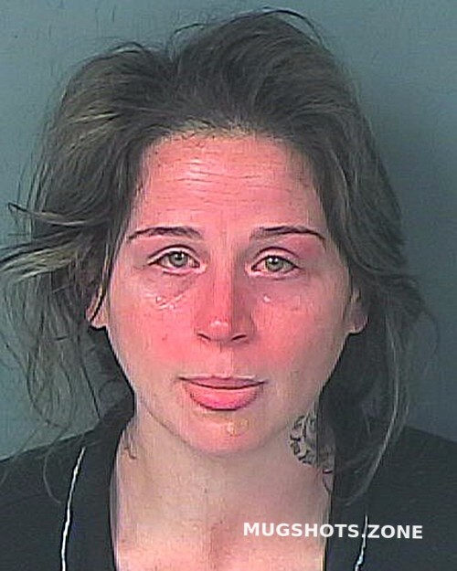 JANISH STACEE 01/30/2025 - Hernando County Mugshots Zone