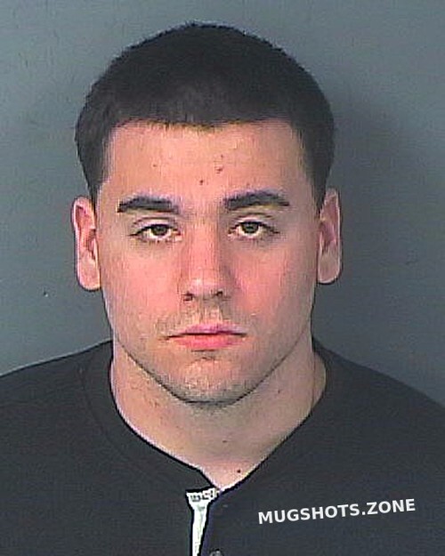 MENDES ADAM AURELIO 02/03/2025 - Hernando County Mugshots Zone