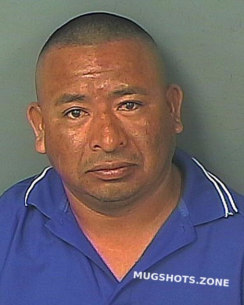 LOPEZ GUZMAN JULIO CESAR 02/04/2025 - Hernando County Mugshots Zone
