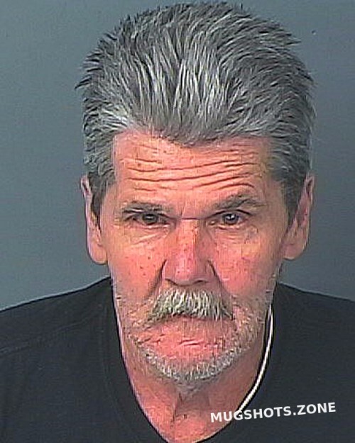 ENGLE PATRICK THEODORE 02/04/2025 - Hernando County Mugshots Zone