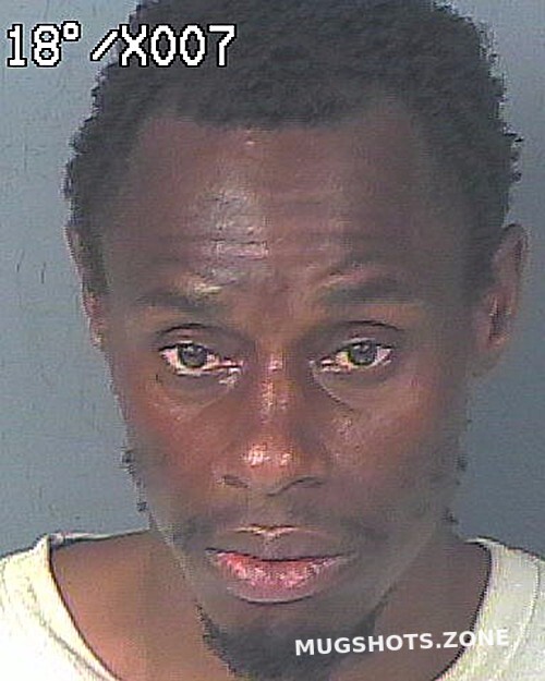 GAYNOR JOSHUA NICHOLAS 02/05/2025 - Hernando County Mugshots Zone