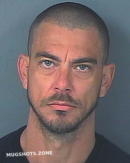 PITTMAN DYLAN DANIEL 02/07/2025 - Hernando County Mugshots Zone