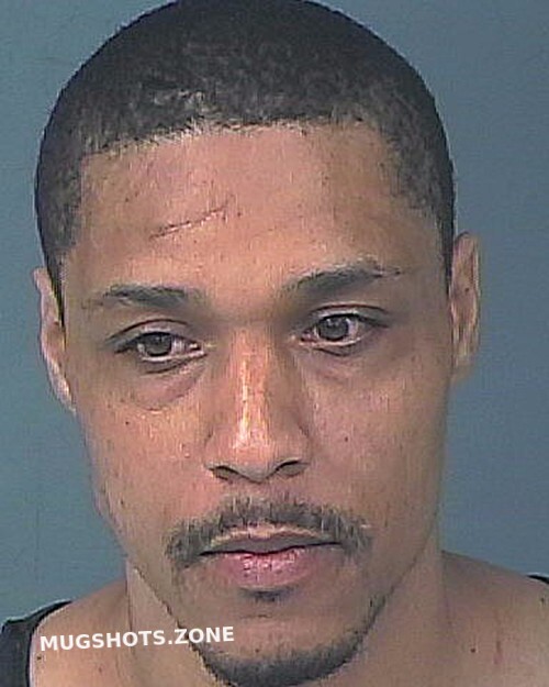 WILLIAMS COREY JAMAL 02/08/2025 - Hernando County Mugshots Zone
