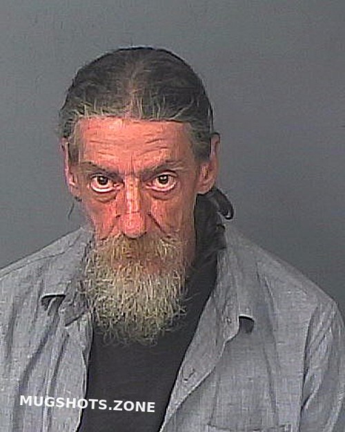 DEJAYNES TERRANCE 02/08/2025 - Hernando County Mugshots Zone