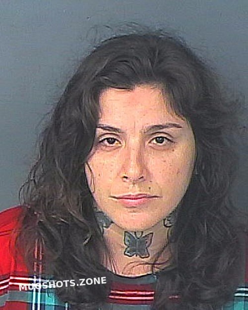 KINNER KIMBERLY ELIZABETH 02/09/2025 - Hernando County Mugshots Zone